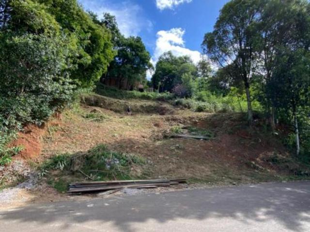 Terreno Bairro Piratini