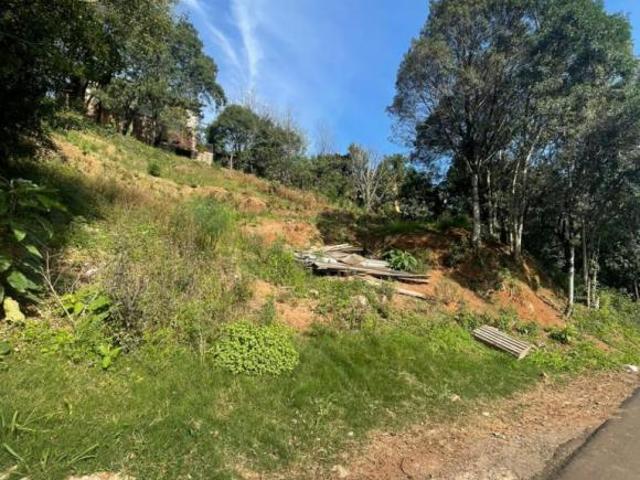 Terreno Bairro Piratini