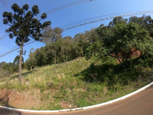 Terreno Bairro Piratini