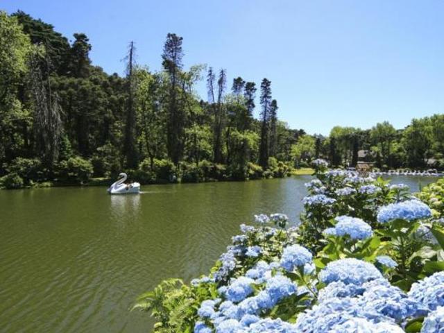 Terreno Bairro Pórtico II