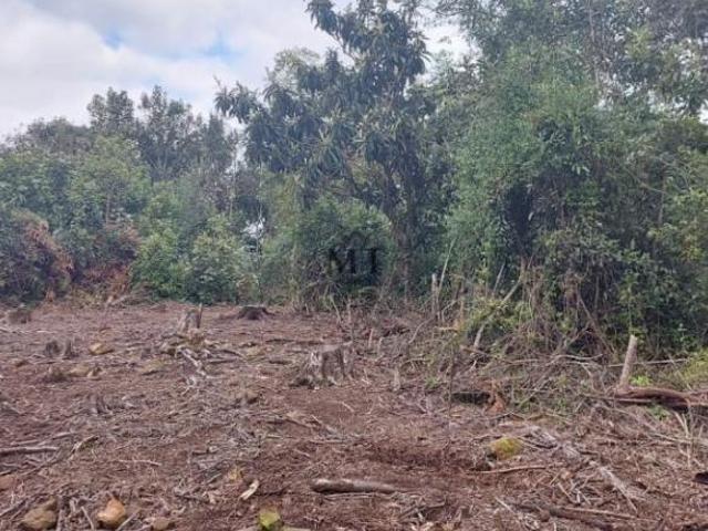 Terreno bairro Pousada da Neve, Nova Petrópolis.RS