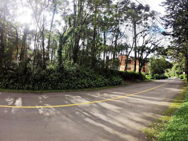 Terreno Bairro Planalto