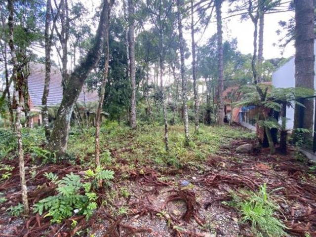 Terreno Bairro Planalto