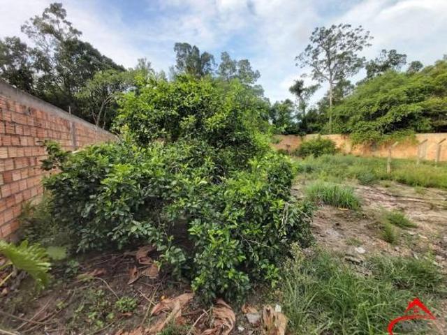 Terreno Bairro Restinga Zona Sul