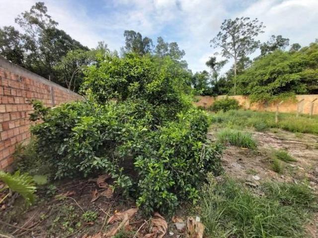 Terreno Bairro Restinga Zona Sul