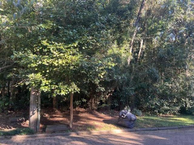 Terreno Bairro Reserva da Serra
