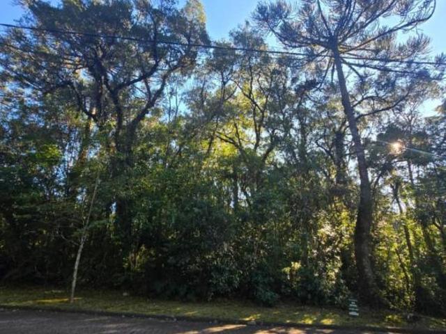 Terreno Bairro Reserva da Serra