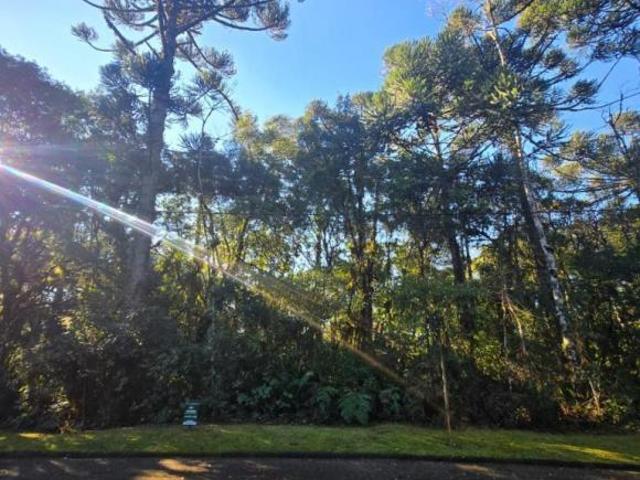 Terreno Bairro Reserva da Serra