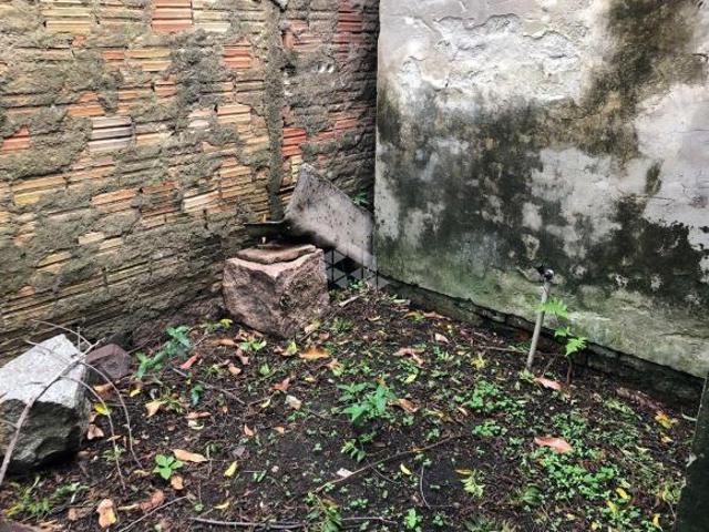 Terreno bairro Rio Branco 390m²