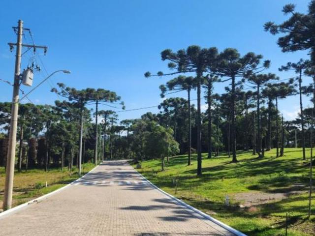 Terreno Bairro São Lucas