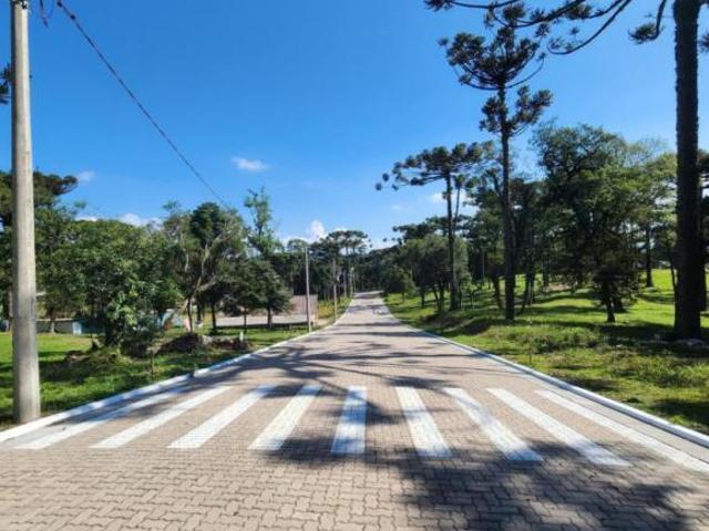 Terreno Bairro São Lucas