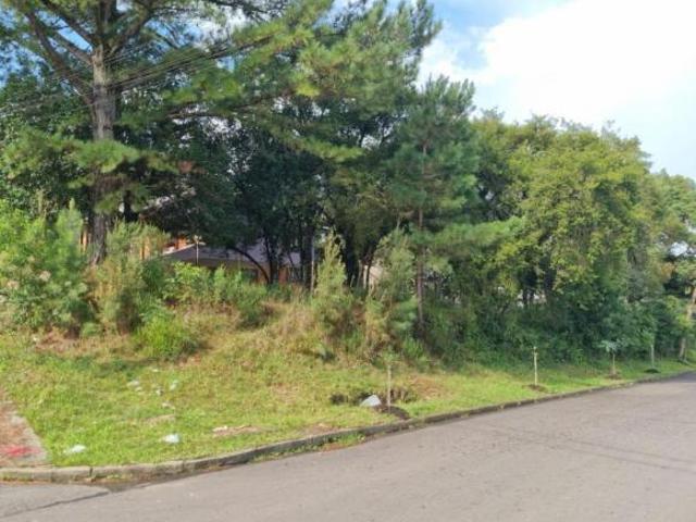 Terreno Bairro São Rafael