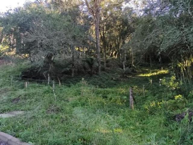 Terreno Bairro Santa Terezinha