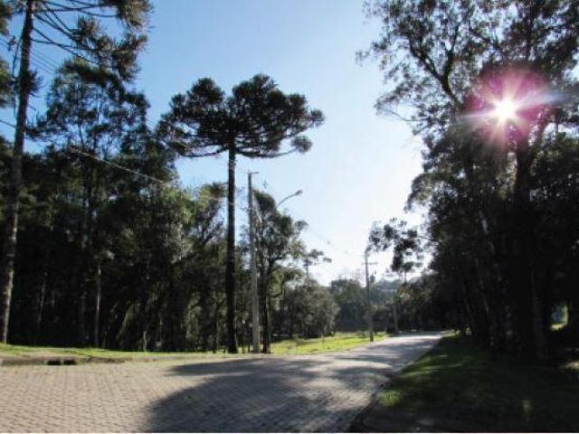 Terreno Bairro Saiqui