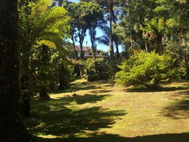 Terreno Bairro Suíça