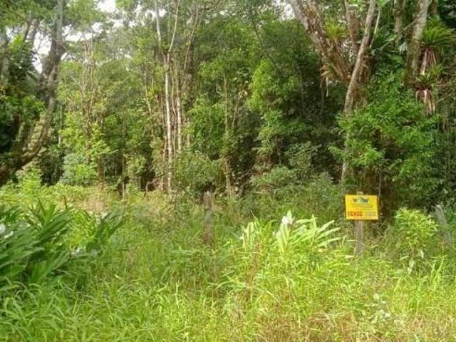 TERRENO BALNEÁRIO NEREIDAS