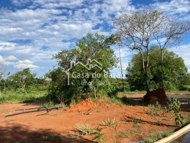 Terreno, Barão Geraldo, Campinas, SP