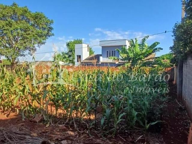 Terreno, Barão Geraldo, Campinas, SP