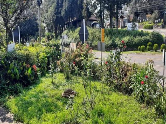 Terreno, Bavária, Nova Petrópolis, RS