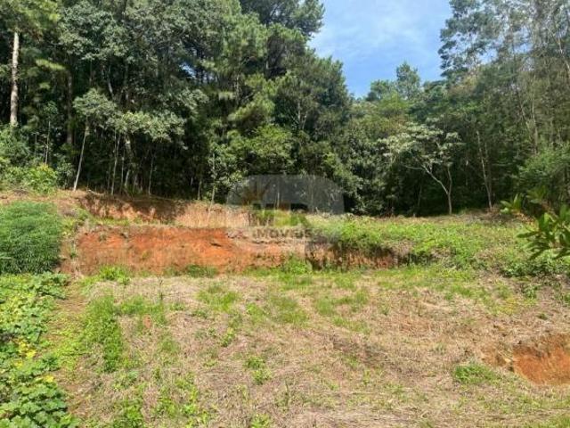 Terreno, Bavária, Nova Petrópolis, RS