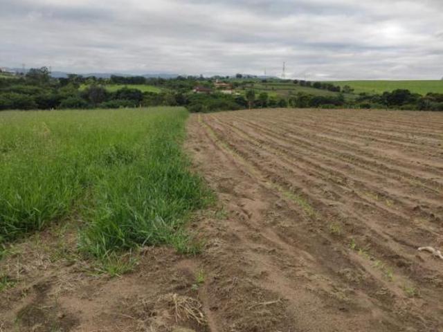 Terreno Beira da Dutra com 100.000 metros