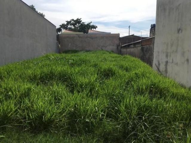 TERRENO BELA VISTA