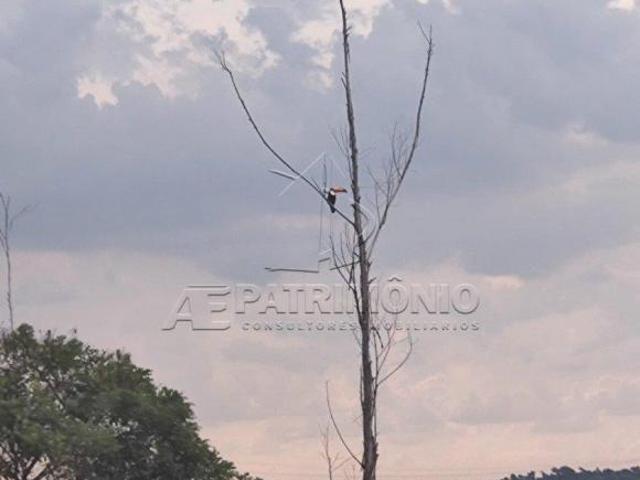 TERRENO BEM TE VI RESIDENCIAL