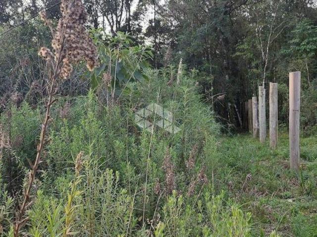 Terreno bem localizado na via principal 444 do Vale dos Vinhedos