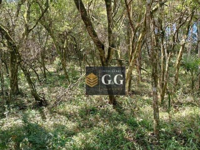 Terreno bem localizado no Pq Florestal Itapuã