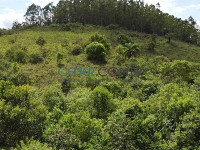 Terreno bem localizado, aproximadamente 115 km de Belo Horizonte, no município de São Brás do Suaçuí