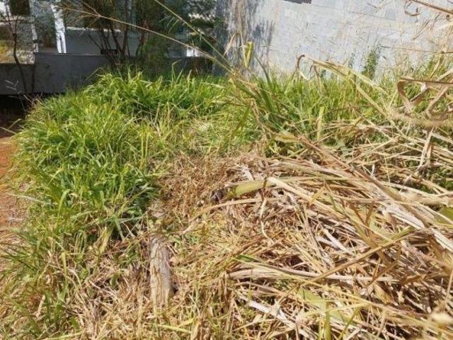 Terreno bem localizado com 156 m² – leve declive e ótimo potencial!
