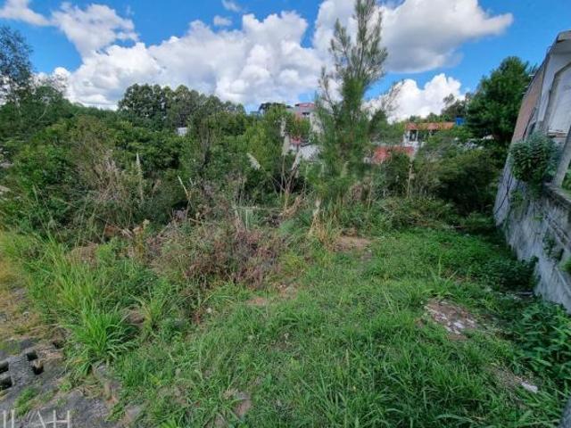 Terreno Bosque das Araucárias Desvio Rizzo