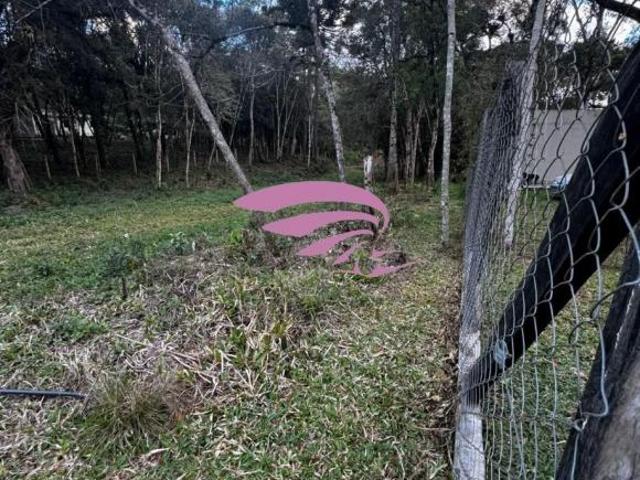 Terreno, Borda do Campo, São José dos Pinhais, PR