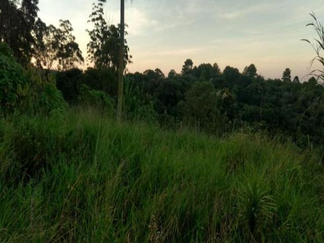 TERRENO BR 116