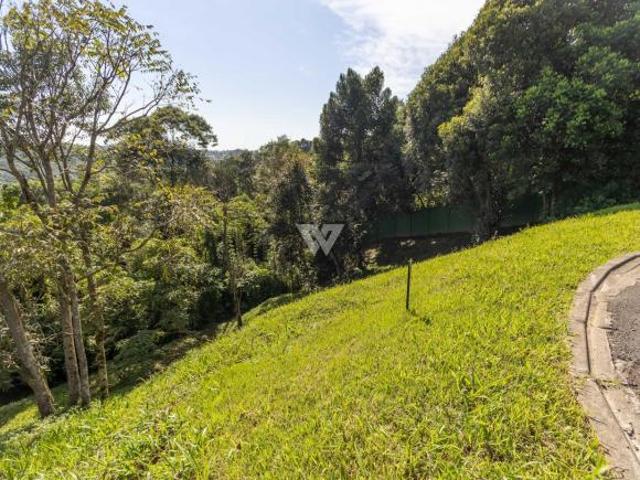 Terreno Campo Magro Curitiba