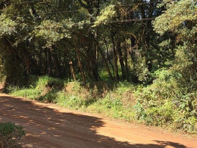 Terreno, Campo Novo, Campo Magro, PR