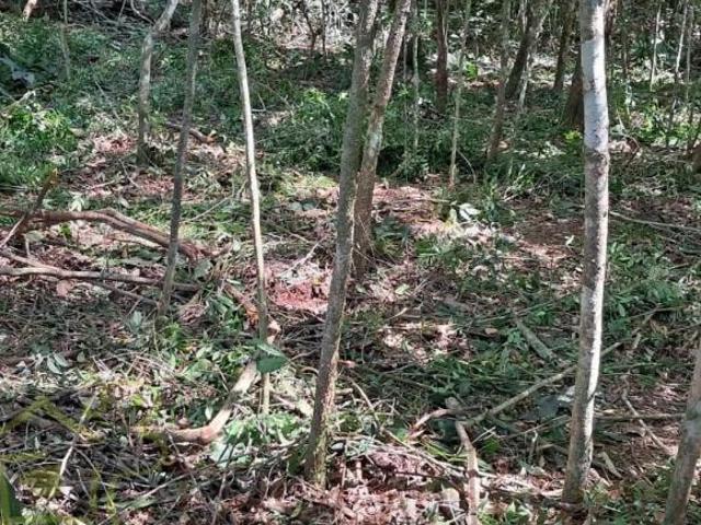 Terreno, Campo Largo, Jarinu, SP
