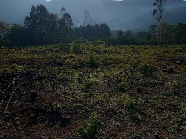 Terreno, Canudos, Nova Hartz, RS