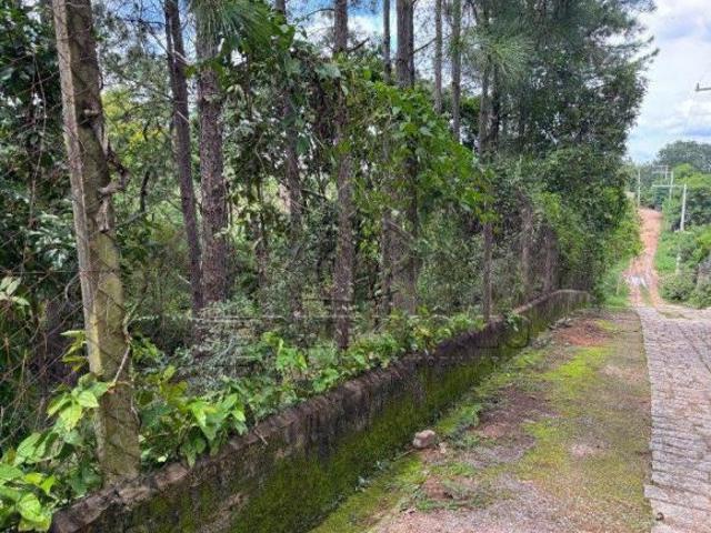 TERRENO CAPUTERA