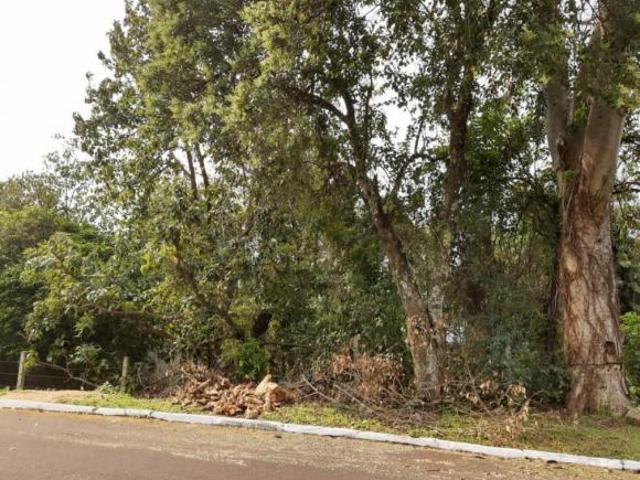 Terreno central