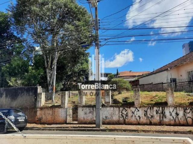 terreno central