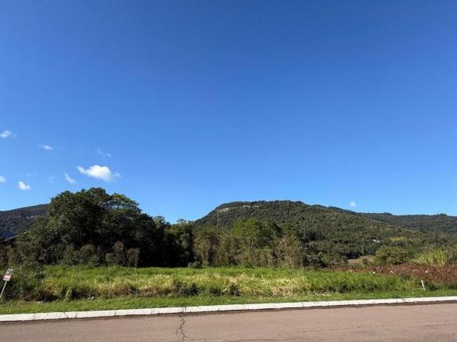 Terreno, Centro, Vale Real, RS