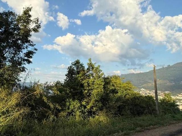 Terreno, Centro, Vale Real, RS