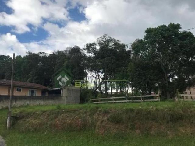 TERRENO CENTRO ARAUCARIA