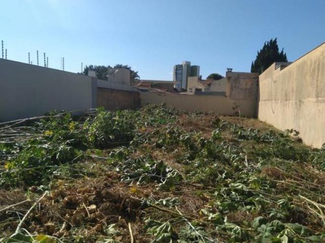 Terreno | Centro | Arapongas