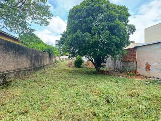 TERRENO CENTRO BOTUCATU / SP