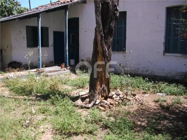 Terreno Centro Campinas