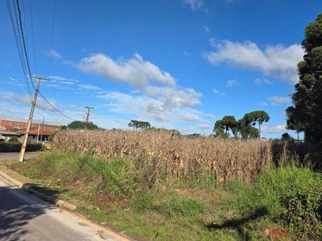 Terreno, Centro, Campo Magro, PR