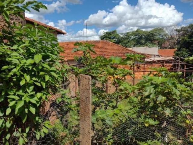 Terreno, Centro, Catanduva, SP