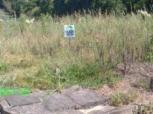 Terreno, Centro, Pareci Novo, RS